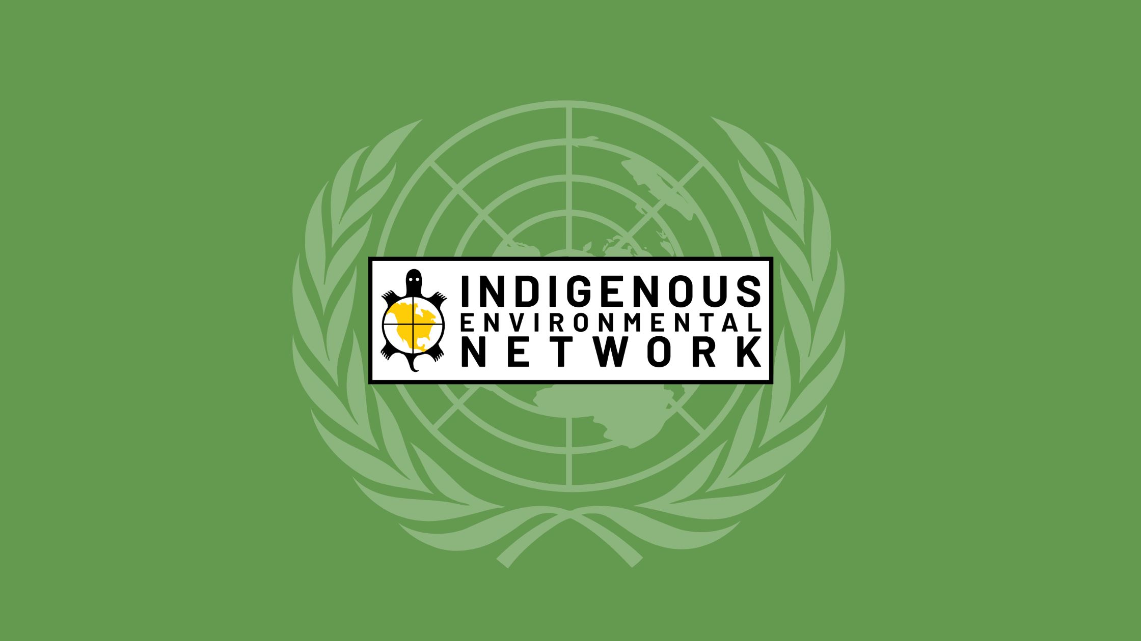 UN COP 27 | Indigenous Environmental Network