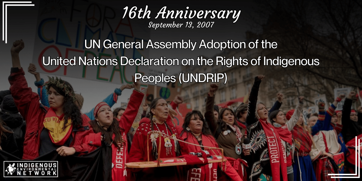 The Declaration on the Rights of Indigenous Peoples – a History of ...